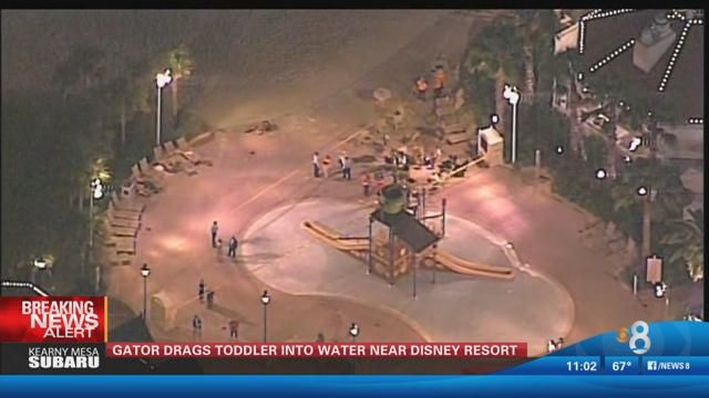 Sheriff: Body of boy killed by gator recovered - CBS News 8 - San Diego ...